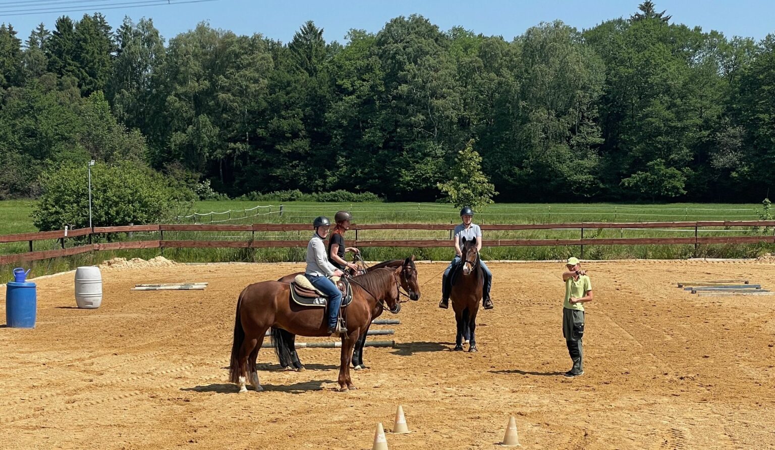 Westernreiten auf unseren Schulpferden – SIRO Ranch